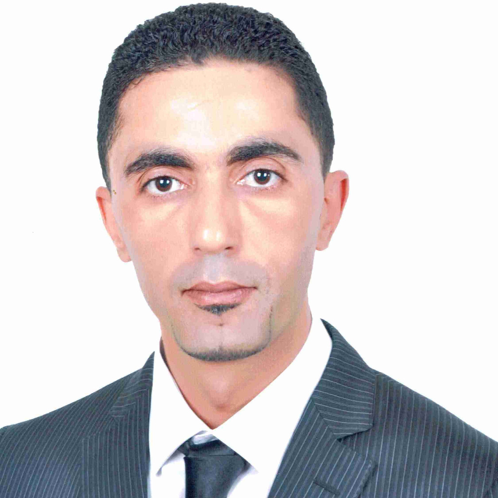 Walid Mosrati - Responsbale informatique - Procidec & Magsteel | XING