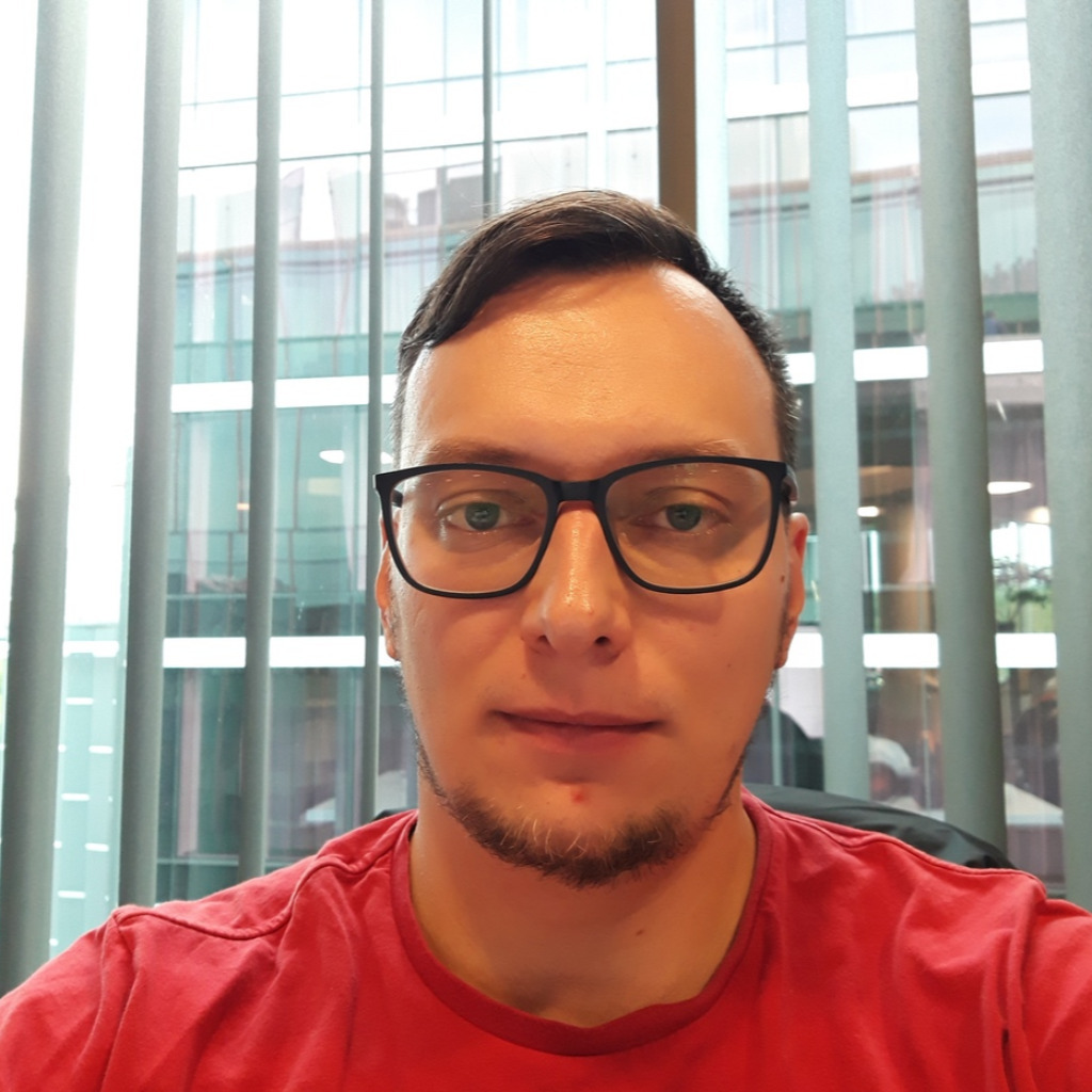 Aleksandr Kostiukov - Team Leader - Neotech | XING