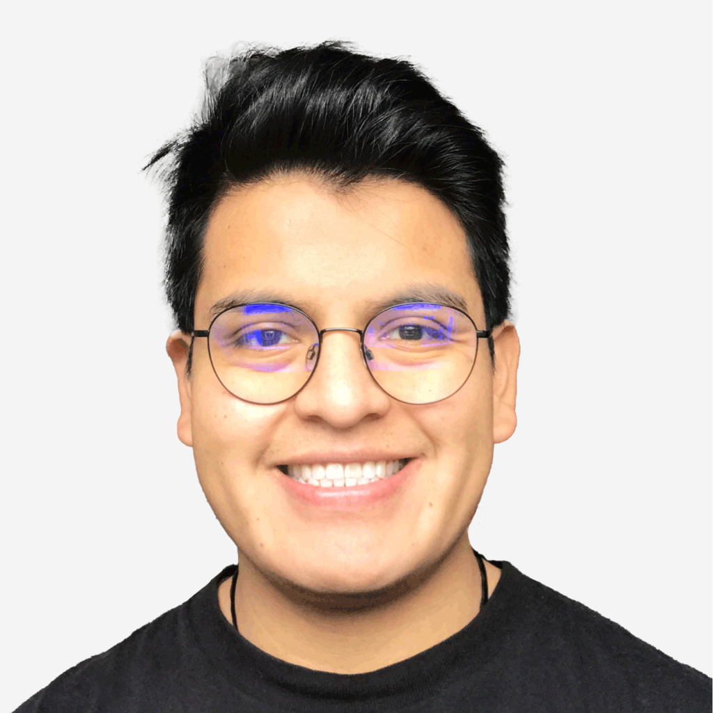 Adrian Leonardo Bueno Brito - Dynamics 365 Developer - connectiv! eSolutions GmbH | XING