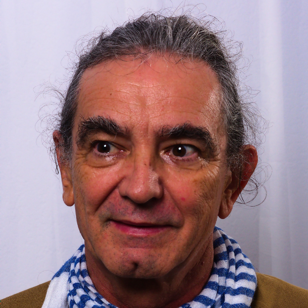 Max Fischer - Network Engineer - skyguide - swiss air navigation ...