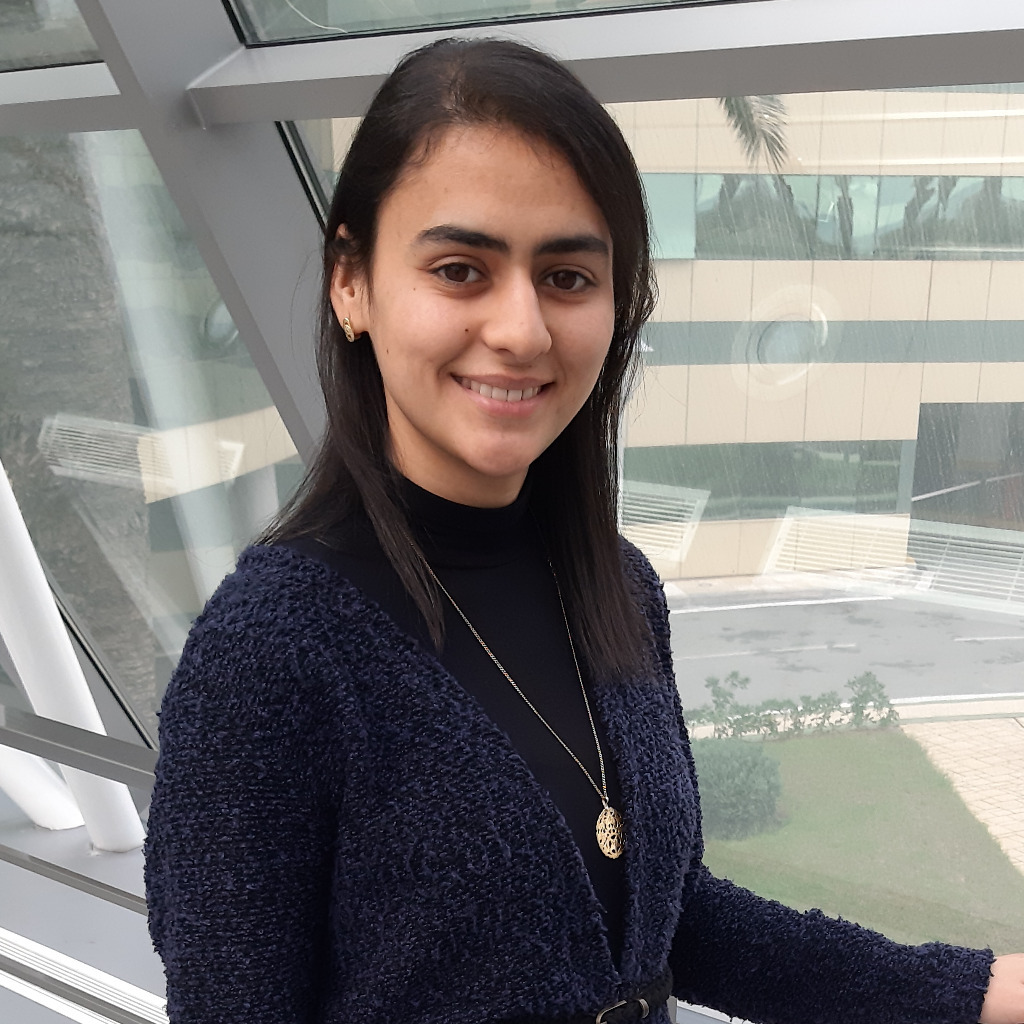 Wissal MAMI - CAE Engineer - SEGULA Technologies Tunisia | XING