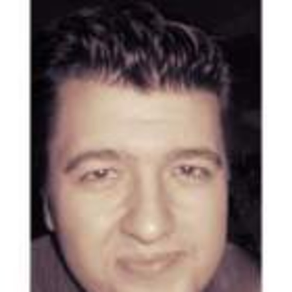 Amar Delic - IT-Projektleitung, Software Entwicklung - IT Consultant | XING