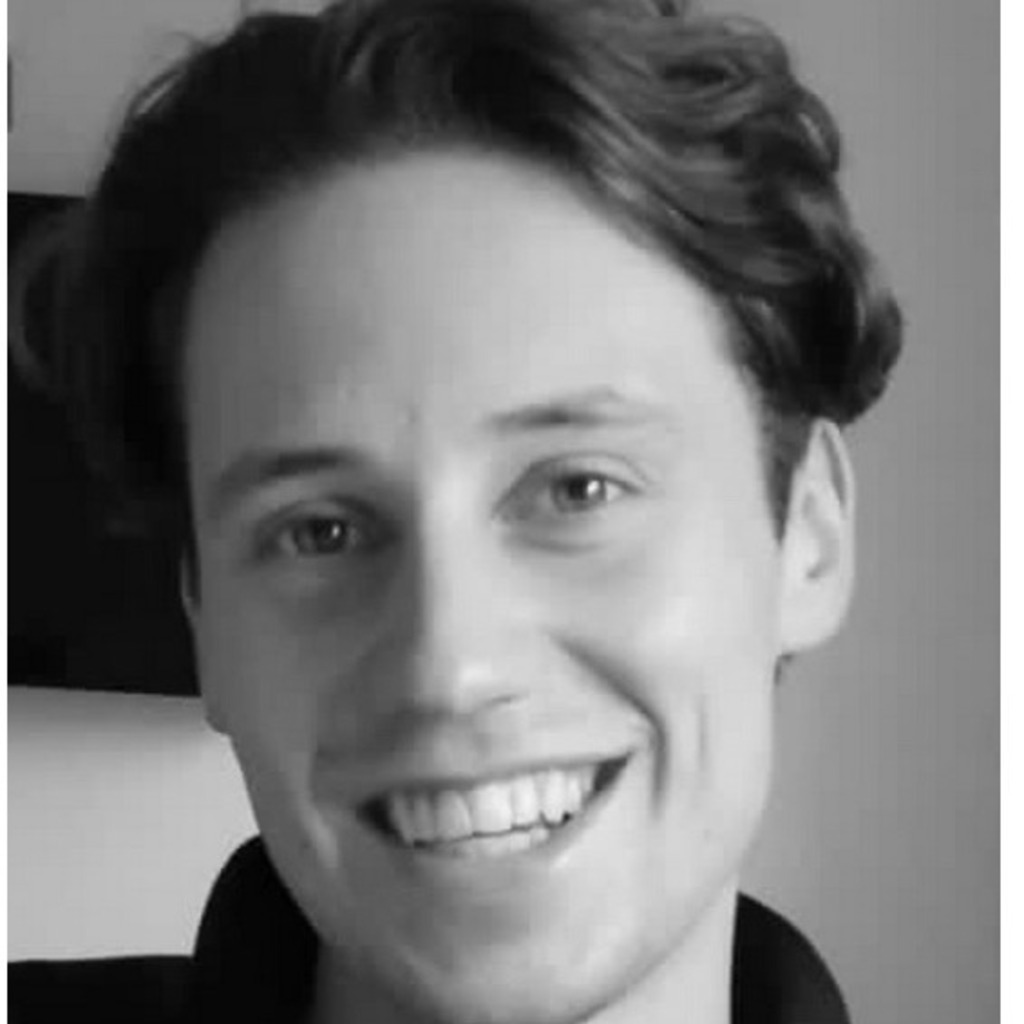 Luis Schwindt - Wirtschaftsinformatik - Hochschule Hannover | XING