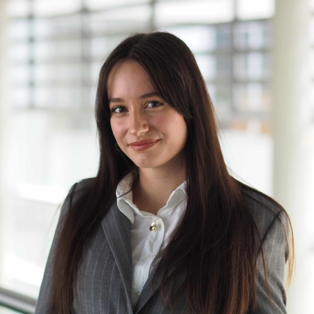 Laura Seezer - Angewandte Medien- und Kommunikationswissenschaft - TU ...