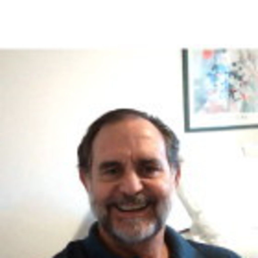 Dan Raz - CEO - Analytic Recruiting | XING