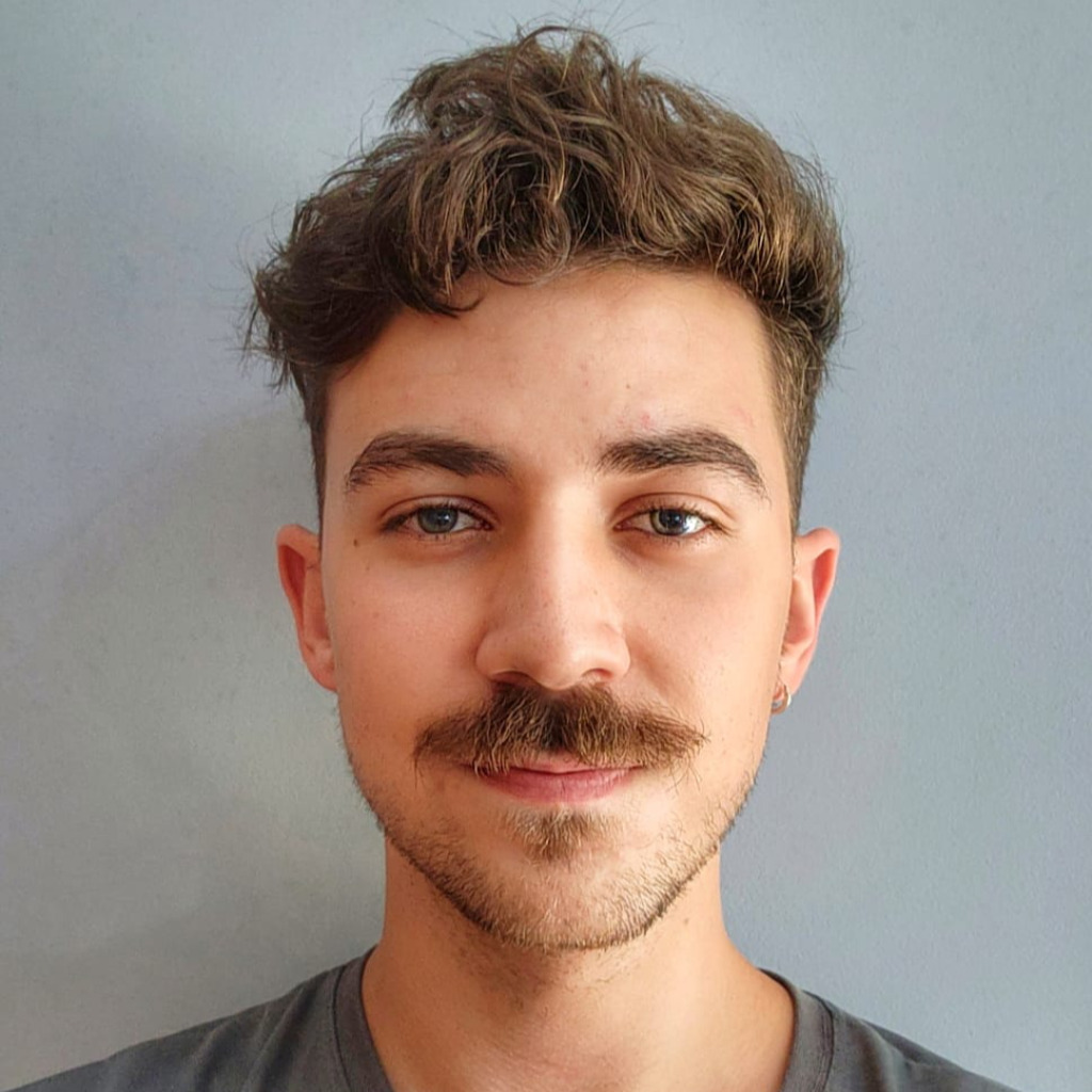 Victor Alessi - Developer - Smart Green SA | XING