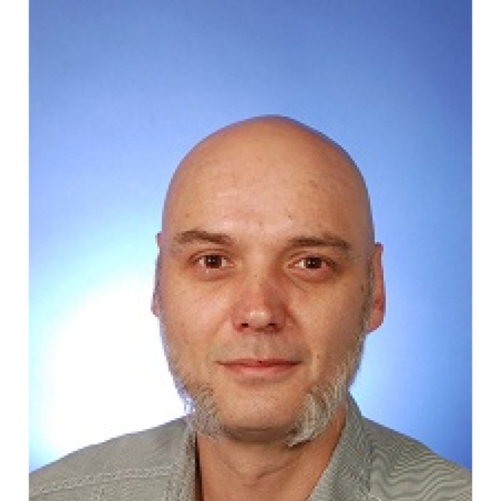 Ronald Lemke: Vorarbeiter | XING