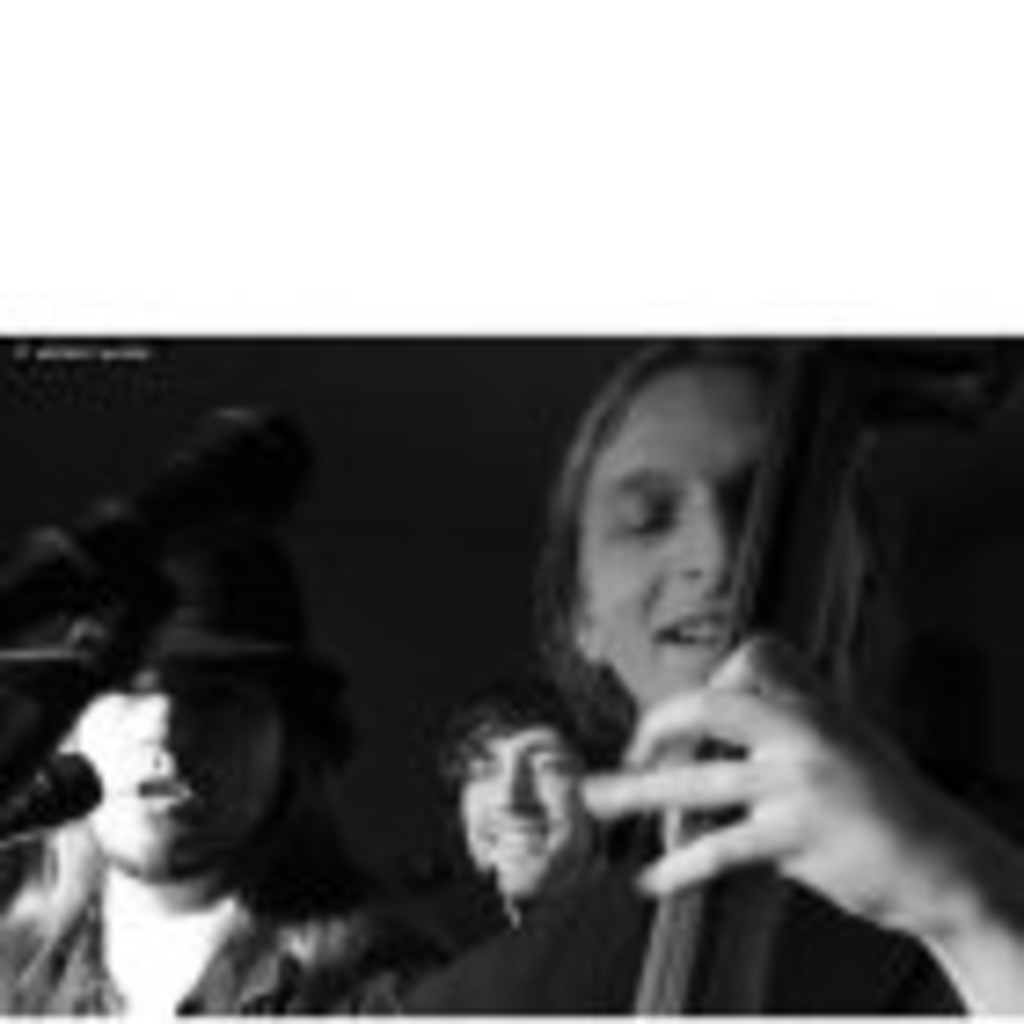 Christian Trautmann - Kontrabassist / Gitarrenlehrer - The Road ...