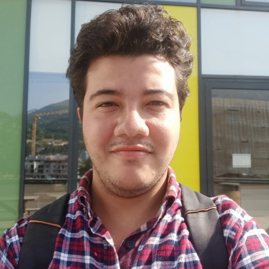 Adham Shebl - Mechanical Engineering - INP Grenoble | XING