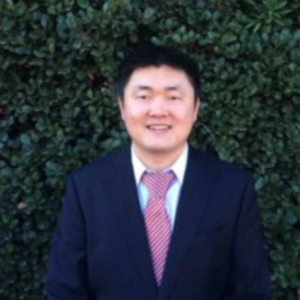 David Yang - Fullstack Developer - geoway | XING