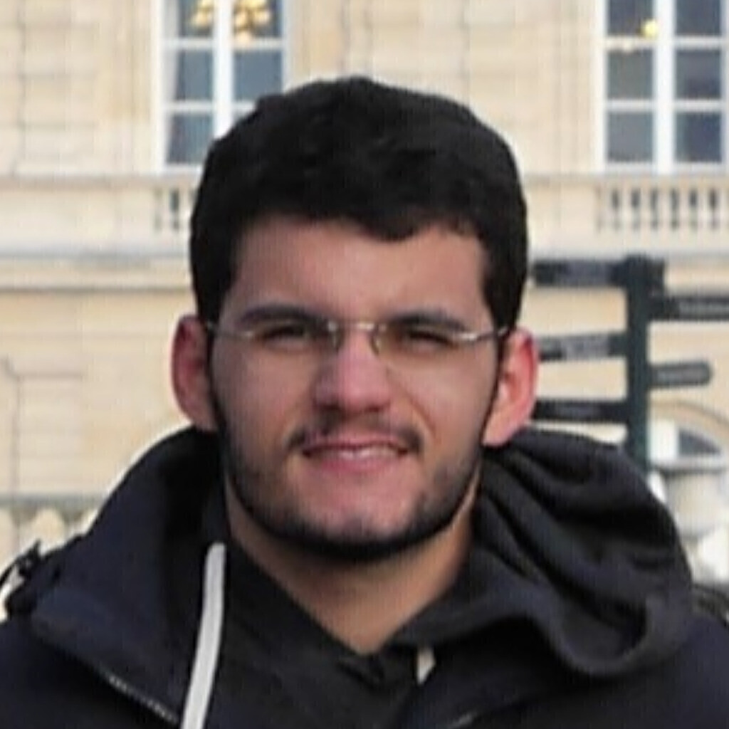 Fernando Henrique Fernandes - Data Scientist - Upwork | XING