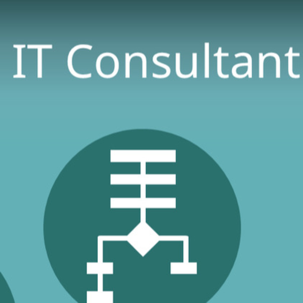 Ococo SAPOcoco - IT Consultant - selfemploye | XING