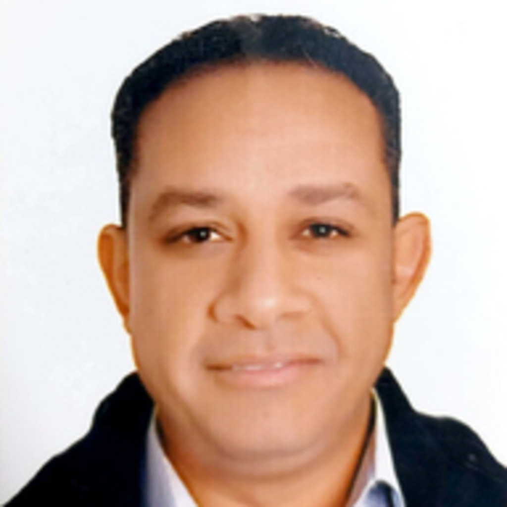 Mohamed Mohsen - Telecommunications project manager Engineer - Telecom Egypt | XING