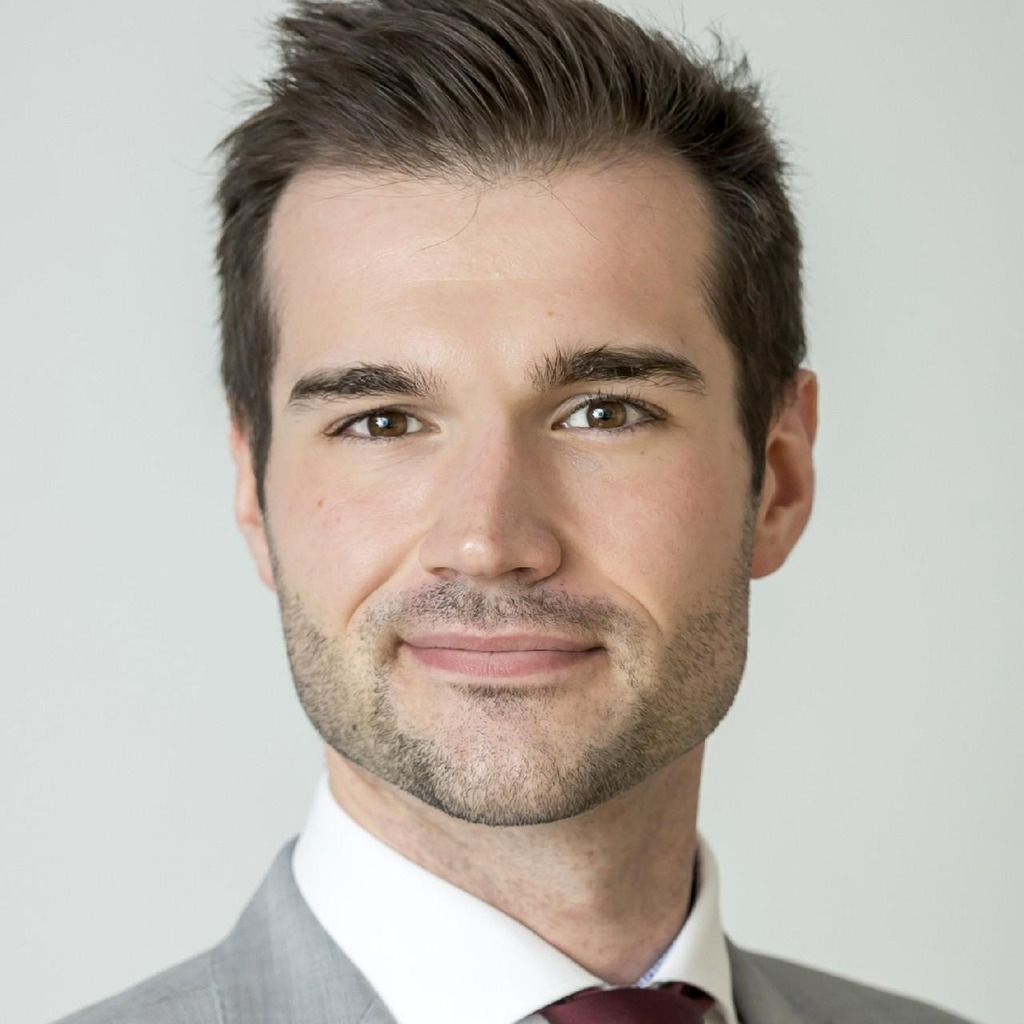 Dr. Tim Vintis - Wirtschaftsprüfer - FIDES | XING