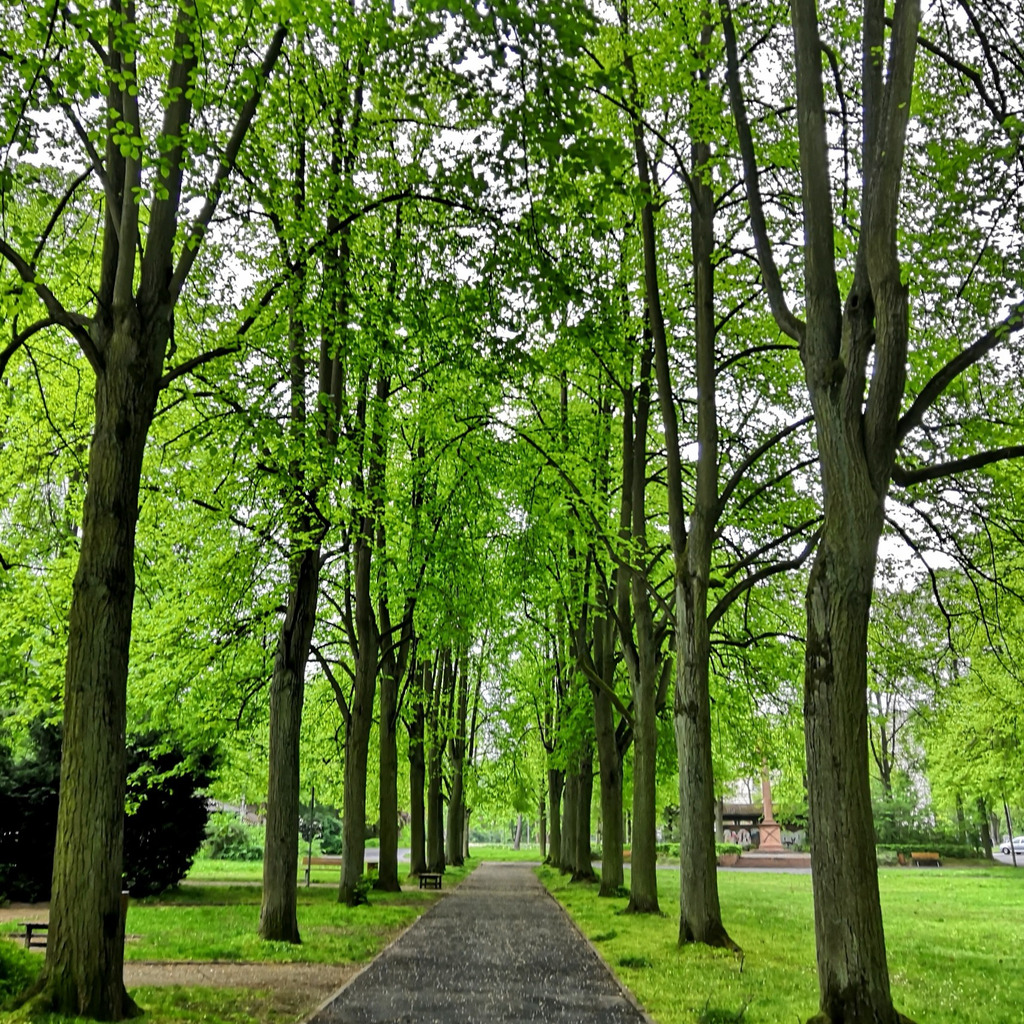 Wen Li - PhD Student - University of Marburg | XING