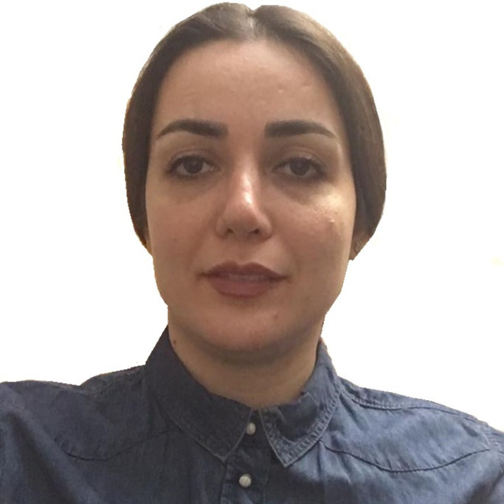 Ing. Mahsa Shabani Viaei - Python Developer - Tavanresan | XING