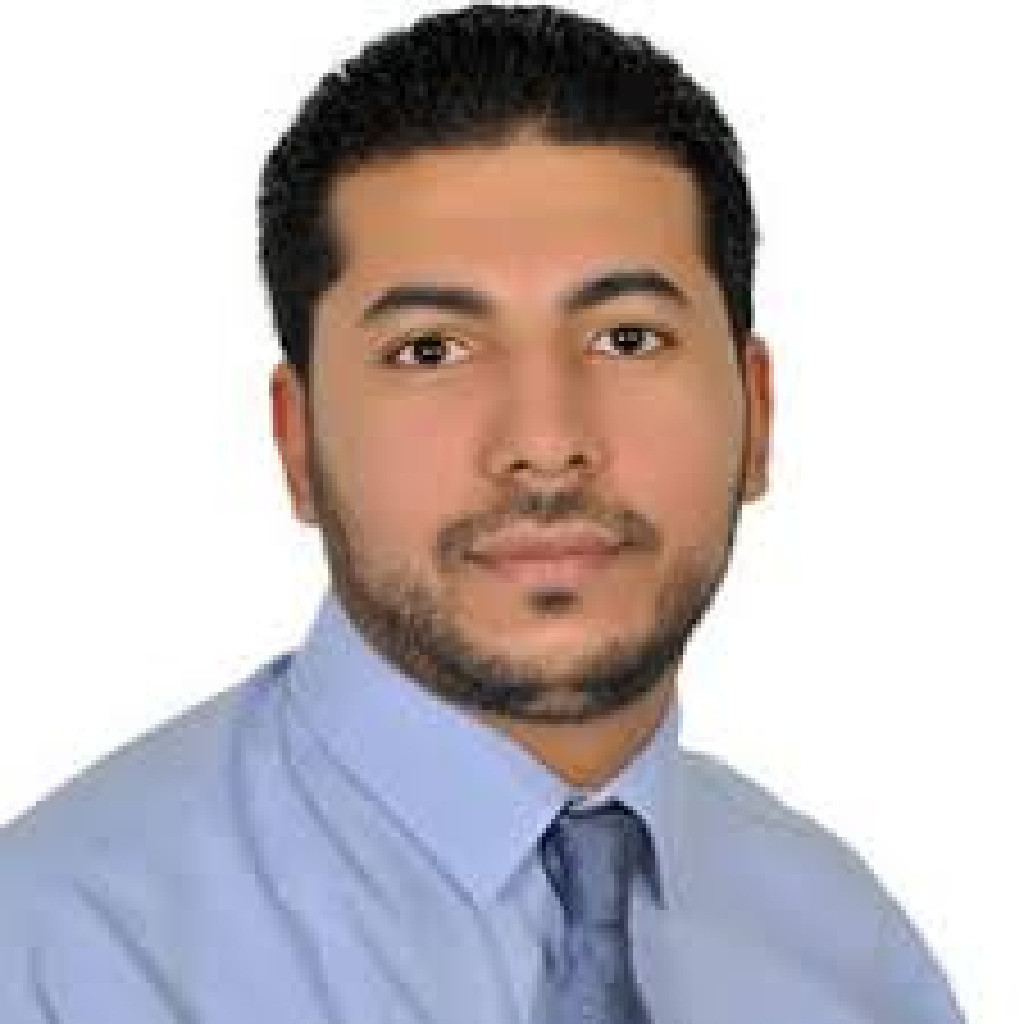 Mohamed Ghaly - ERP Dynamics Business Central Consultant - Global ...