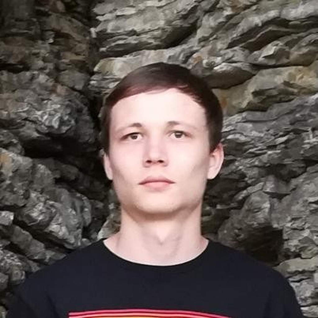 Viktor Davydov - Frontend Developer - Crezu | XING