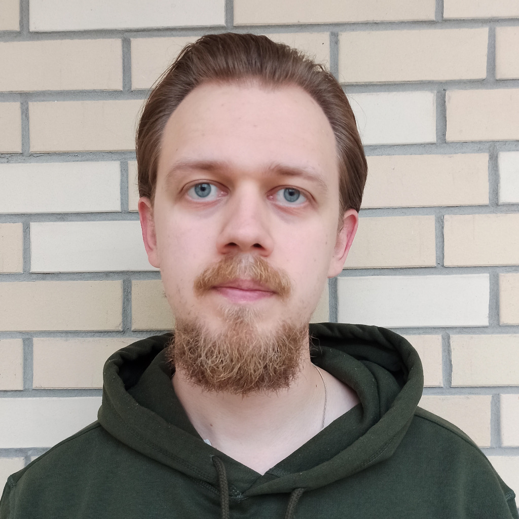 Vyacheslav Popov - Senior QA Automation Engineer - DPD in Russia (Armadillo Business Parcel) | XING