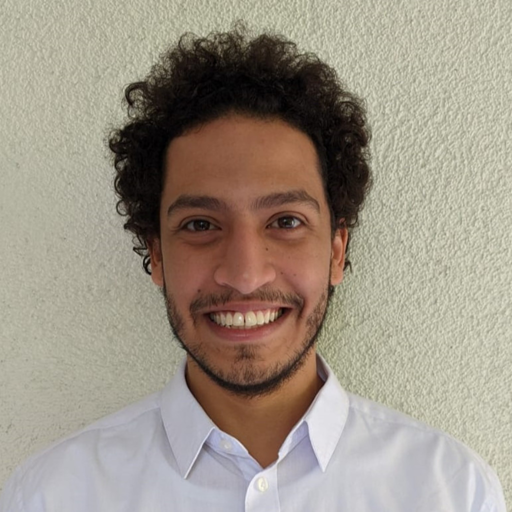 Ahmed Helali - Lehrassistent - Hochschule Mittweida - University of Applied Sciences | XING