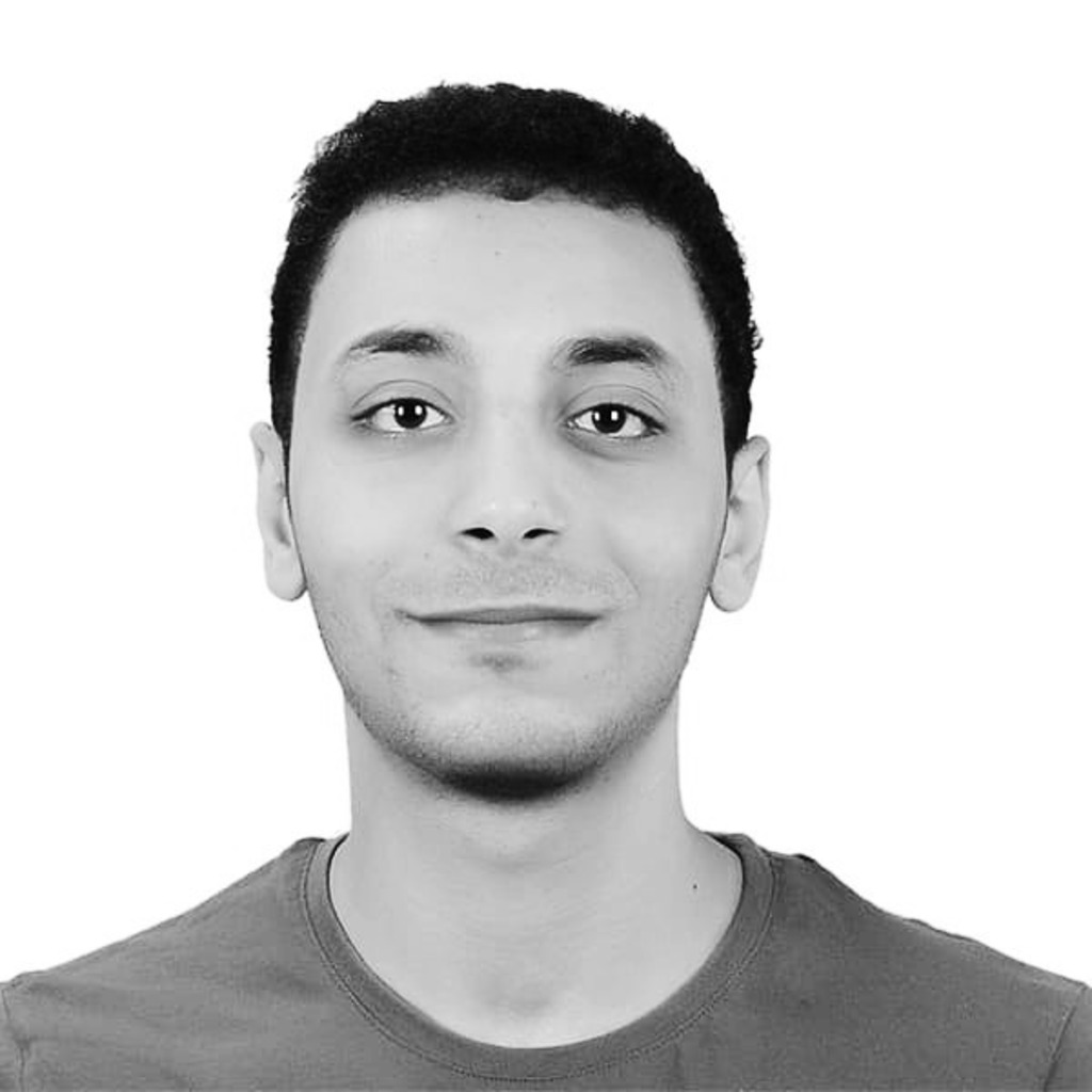 hossam rakha - Senior Android/Flutter Developer - CocoonCreations | XING