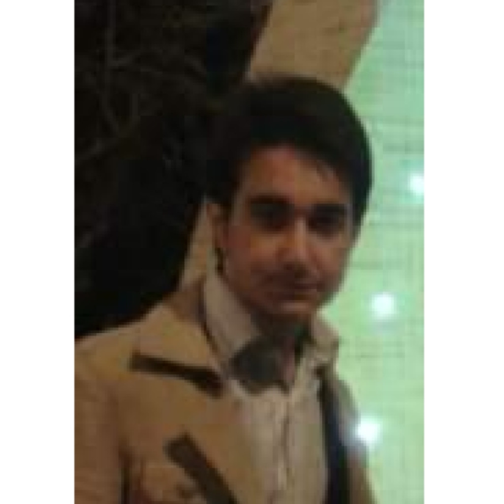 Amir Asgari - designer - international demining center | XING