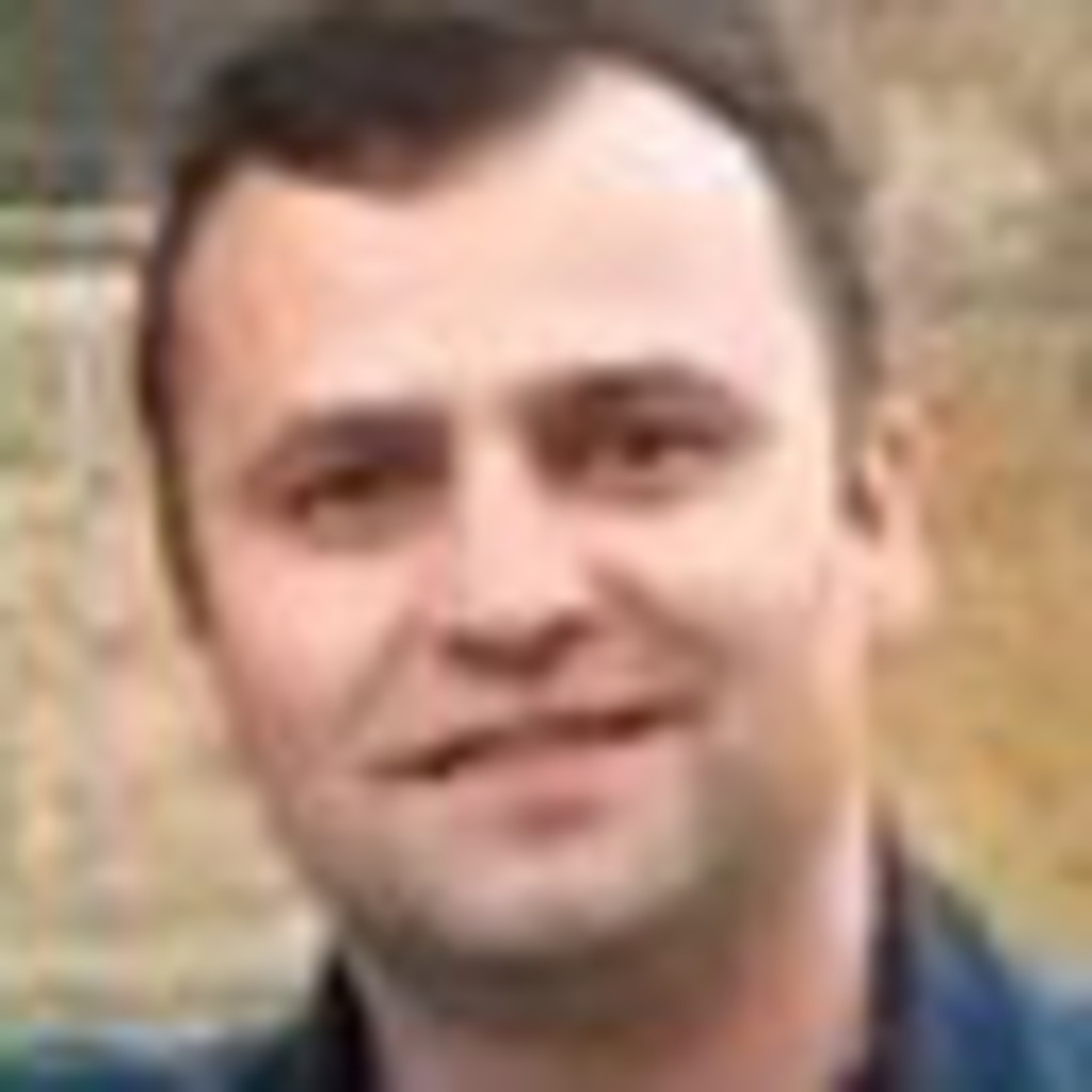 chitu dan alexandru - SZ. Data Management - Schaeffler | XING