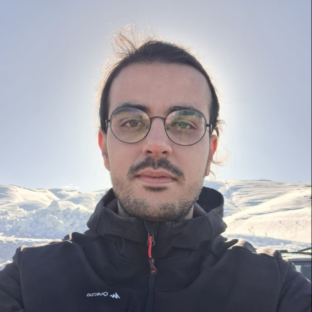 Naim Saad - Senior Software Engineer - Vanrise | XING