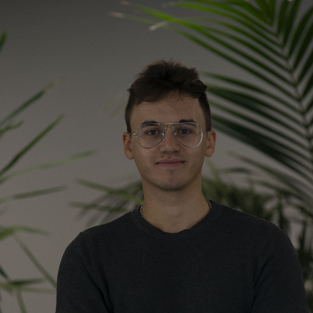 Daniel Putz - Fullstack Developer - Tincx Gmbh | XING