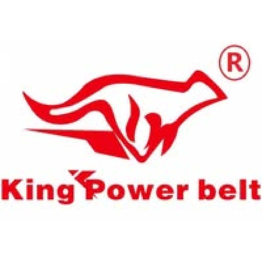 Joyce Luo - Sales Representative - Taizhou Kingpower Rubber Belt Manufacturing CO., LTD | XING
