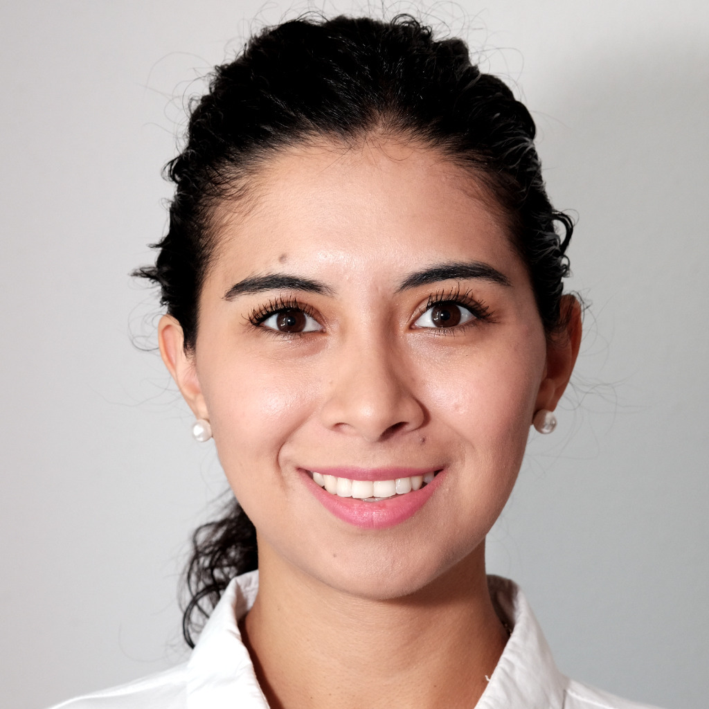 Maria Alcaraz: Ausbildung und Berufserfahrung | XING