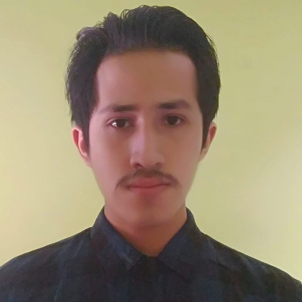 Ryan Andre Adauto Zuñiga - IT Technician - Tata Consultancy Service | XING