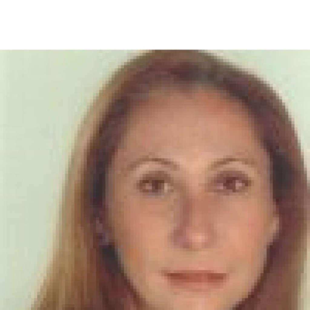 Ana Popa - Application Engineering - Graftech International | XING