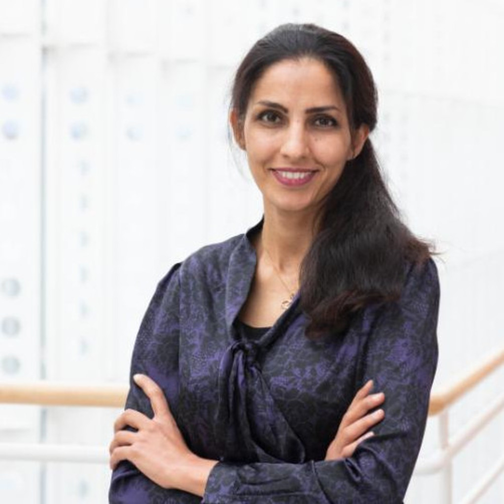 Mina Ebrahimi - Wissenschaftlicher Mitarbeiter - Universität Heidelberg | XING