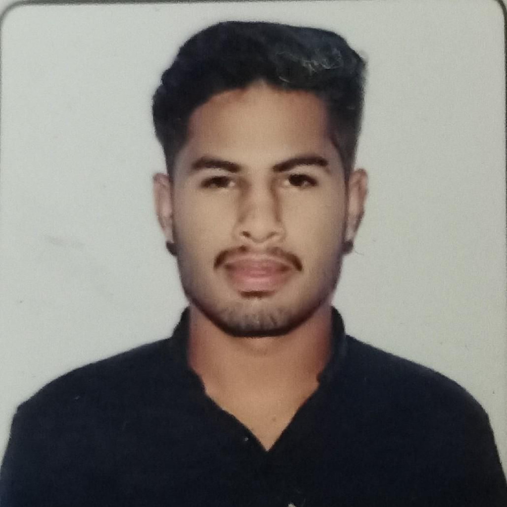 Arvind Choudhary - SEO EXECUTIVE - Bansal Group | XING