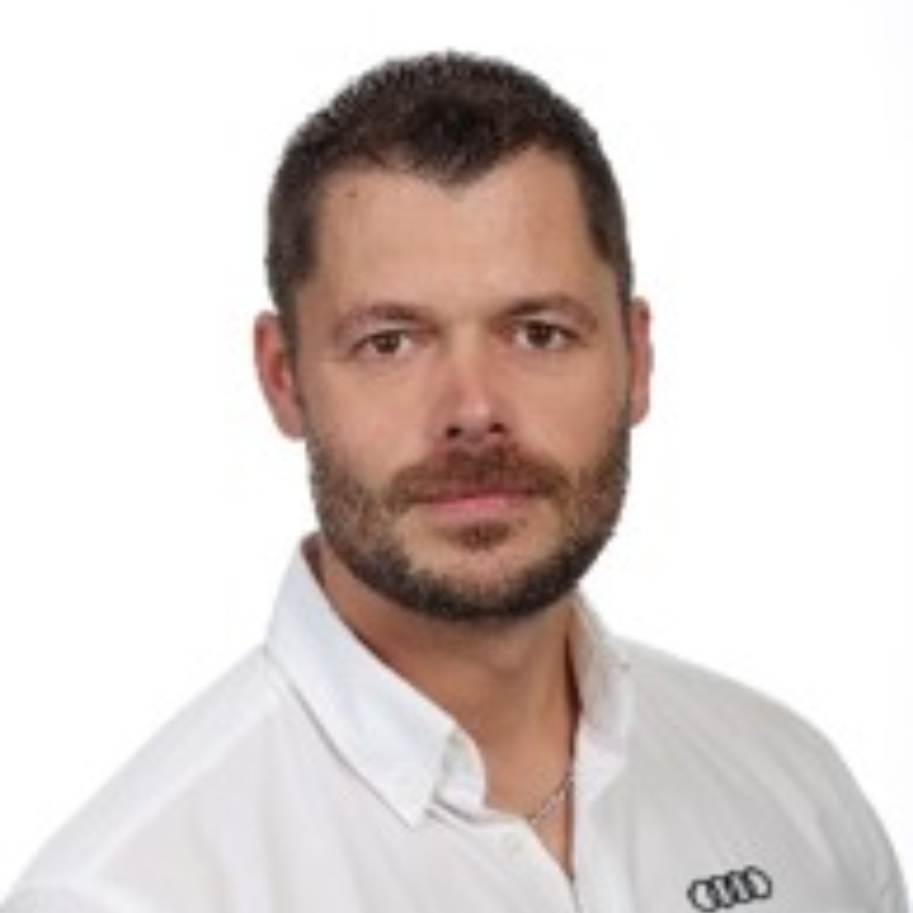 Daniel Beringer - Entwicklungsingenieur Niedervolt Batterien - AUDI AG ...