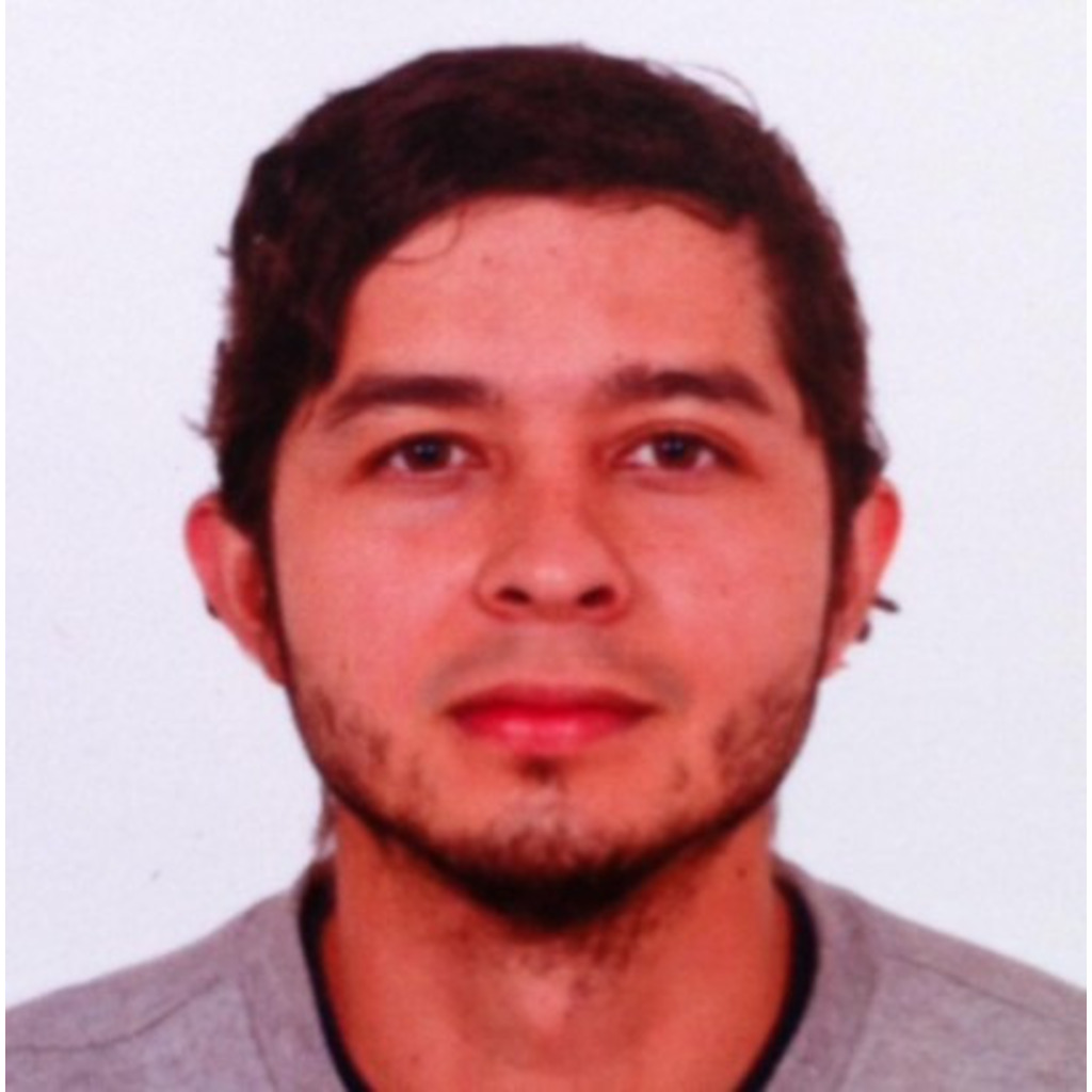 Felipe Viveros - System administrator/Web Developer/Support consultant - Multiple Companies | XING