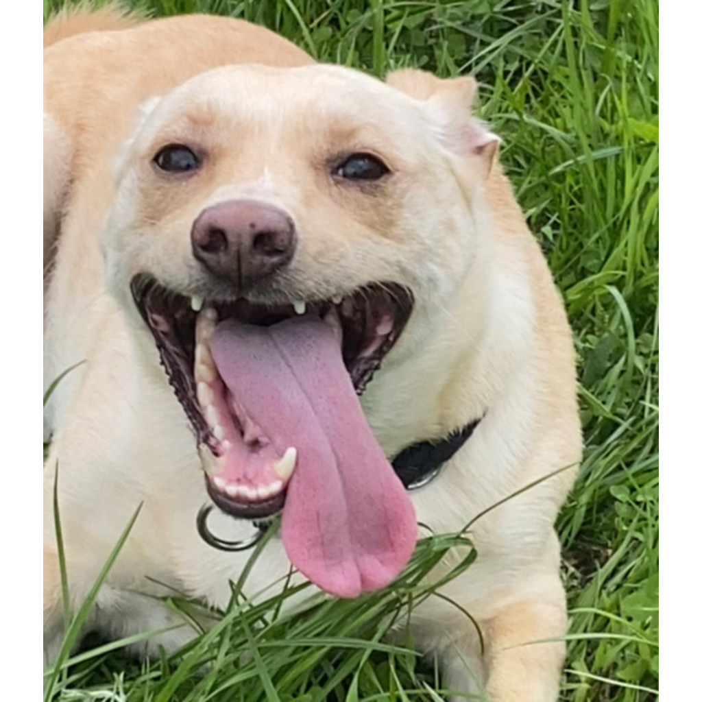 Kim Herrmann - Lagerarbeiter - Aubi | XING