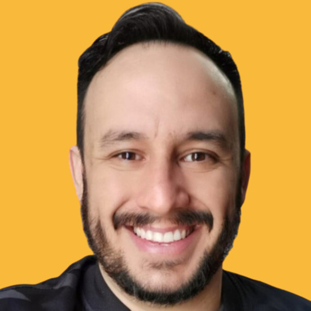 Lester Laine: Ausbildung und Berufserfahrung | XING