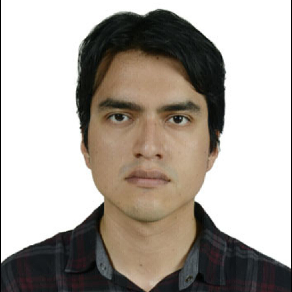 Alvaro Ccatamayo - Fullstack Developer - Pictoric | XING