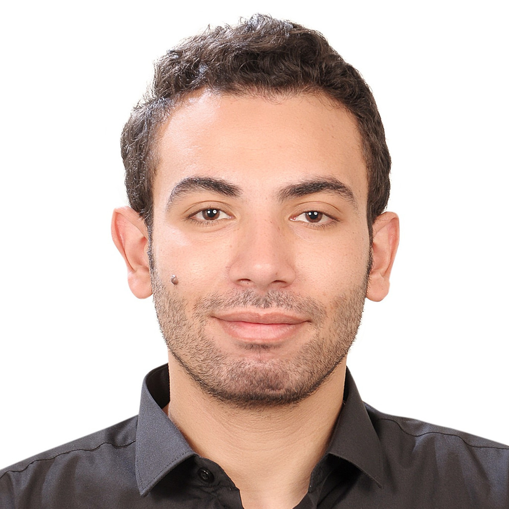 ahmed ibrahim: Ausbildung und Berufserfahrung | XING