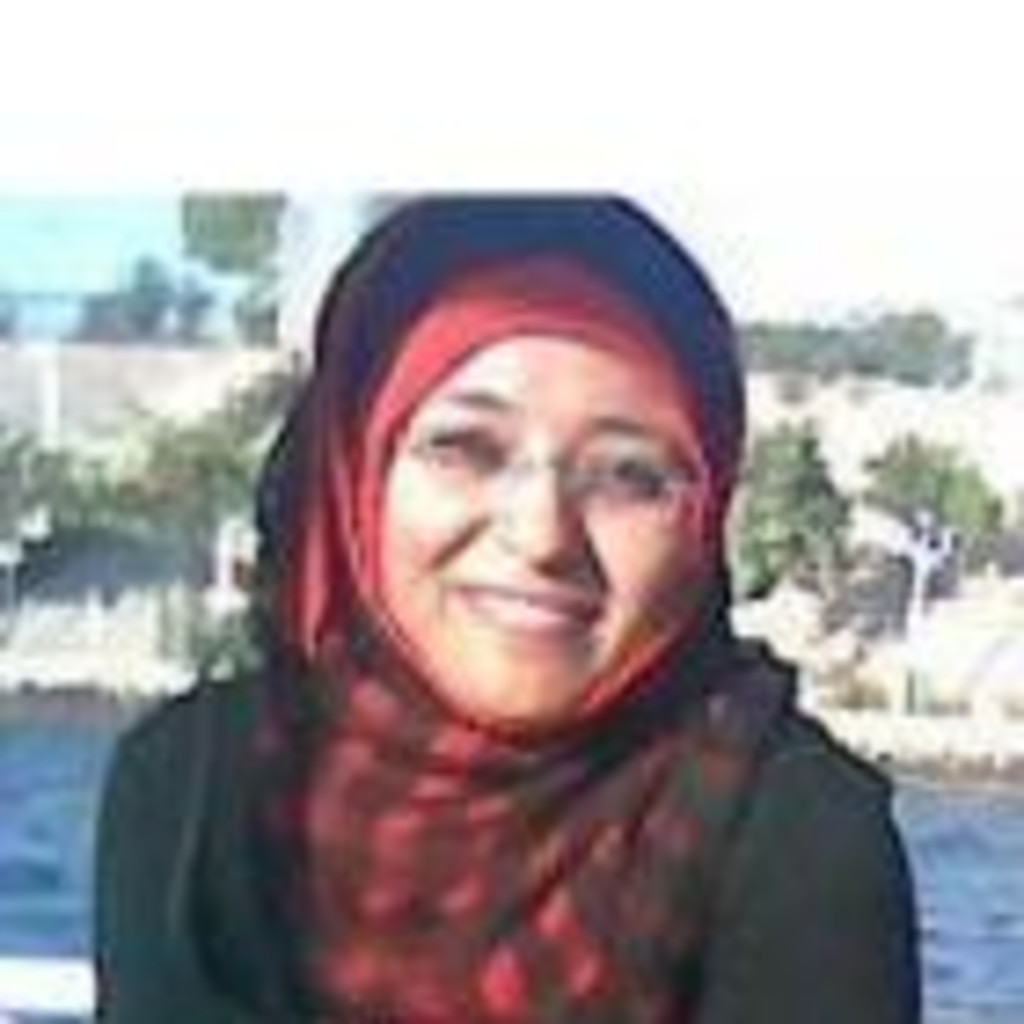 Alaa Gamal - Head of Internal Control - PetroChina International Iraq ...