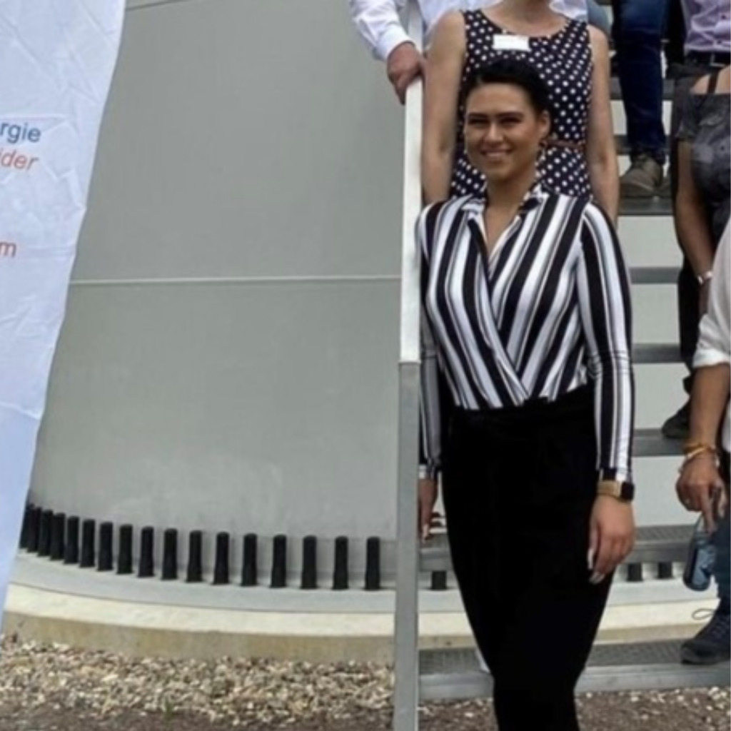 Alice Wermuth - Commercial Project Execution - PNE AG | XING