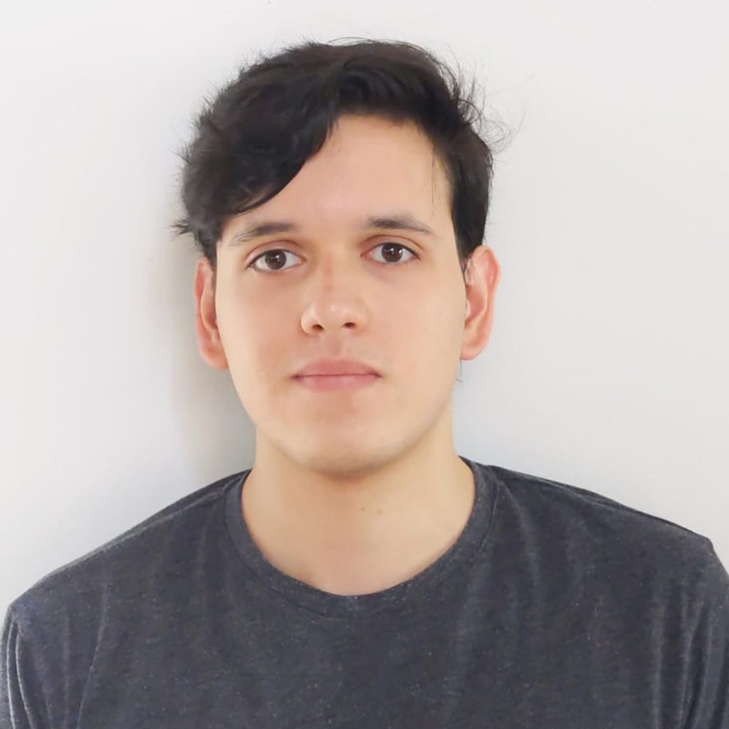 Andrés Felipe Jaramillo Garcés - Software Developer - Balto.fr | XING