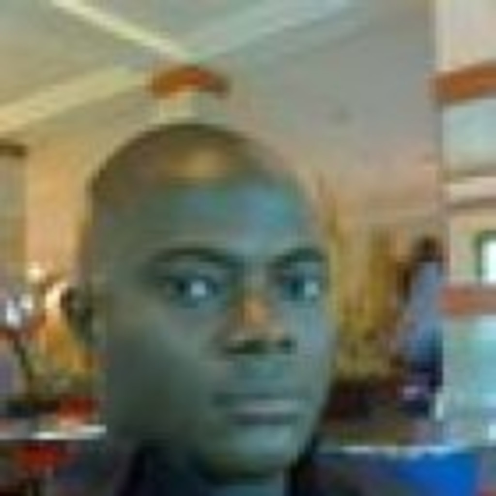 Wale Adegbembo - Managing Director - Walscot Associates Limited | XING