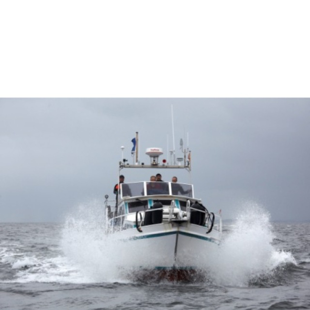 Peter Klink's Instagram, Twitter & Facebook on IDCrawl