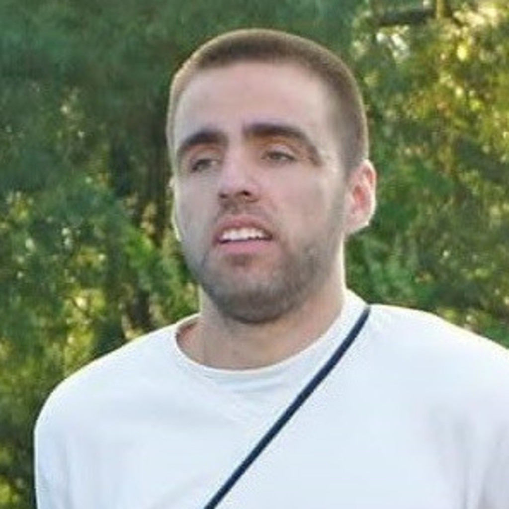 Dipl.-Ing. Miroljub Arbutina - Python Developer - Alas d.o.o | XING