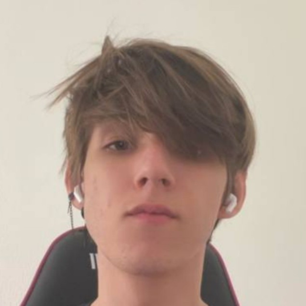 Ilia Kiselev - Programmierer - IBA Service Solutions | XING