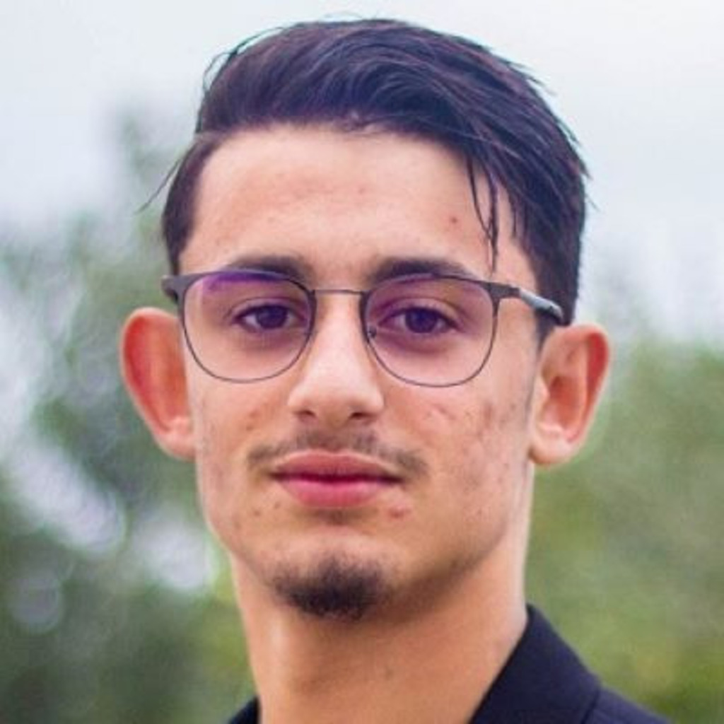 Mohamed Aziz Mansour - Informationstechnik und Digitalisierung ...