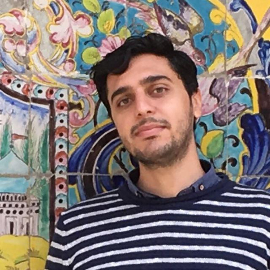 Hassan Alizadeh: Ausbildung und Berufserfahrung | XING